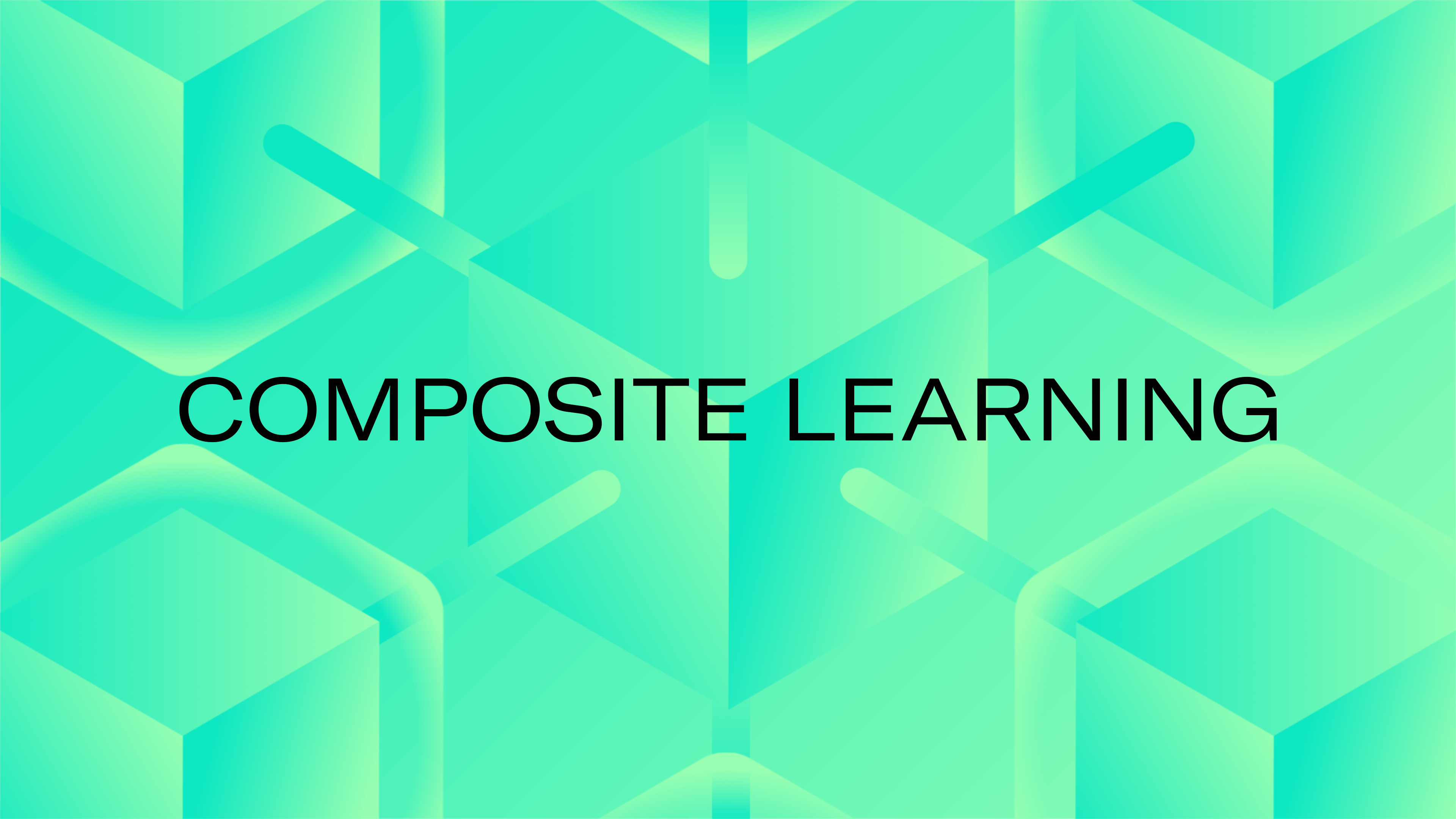 SPRIND | Composite Learning Challenge